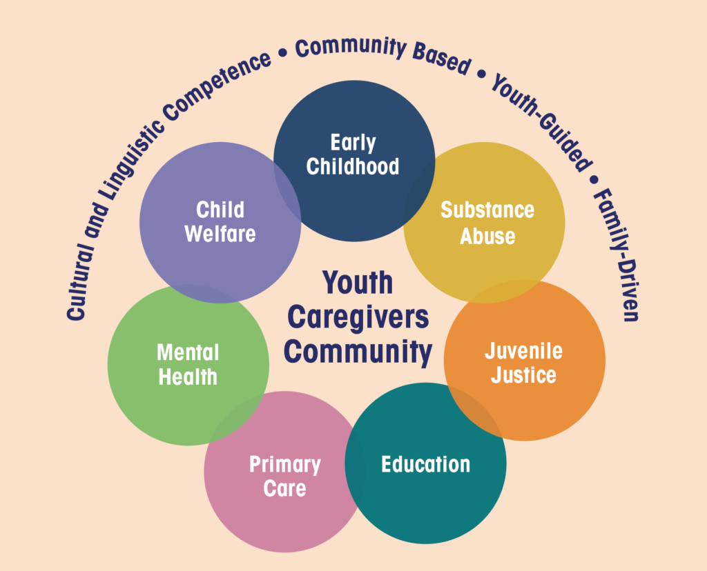 Network of Care Analysis - Plan 4 Children